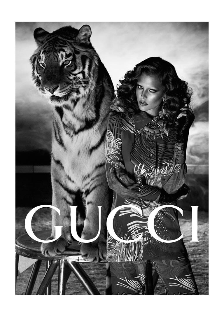 Discover the Elegance of the Gucci Tiger Fashion Poster – ARTSY FARTSY®